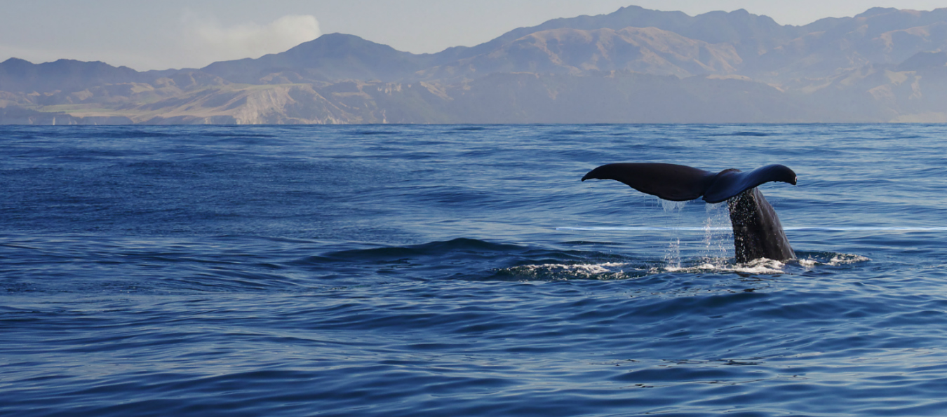 Drewry - Maritime Research, Consulting and Financial Advisory Services