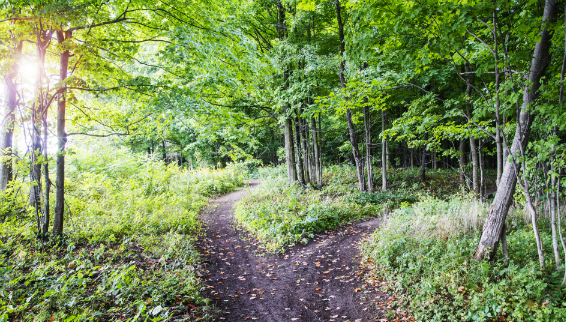 Drewry - Maritime Research Opinions - A divided market