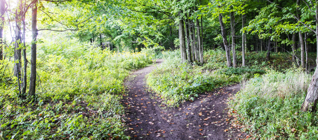 Drewry - Maritime Research, Consulting and Financial Advisory Services